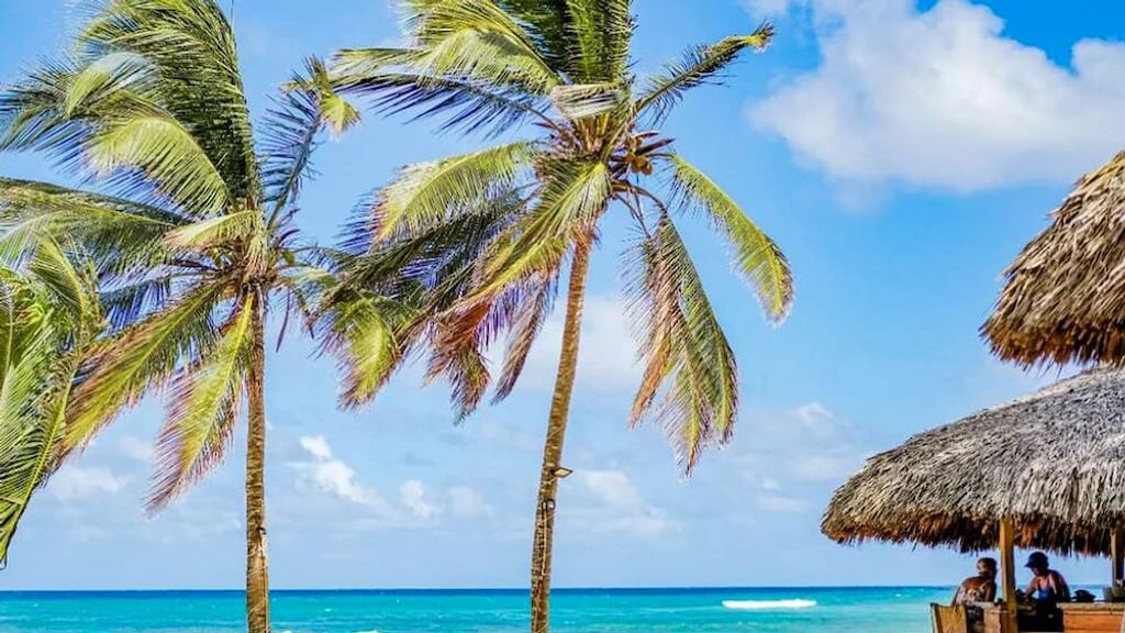 Playa Palmera Beach Resort C$ 62 (C̶$̶ ̶1̶9̶5̶). Punta Cana Hotel Deals ...